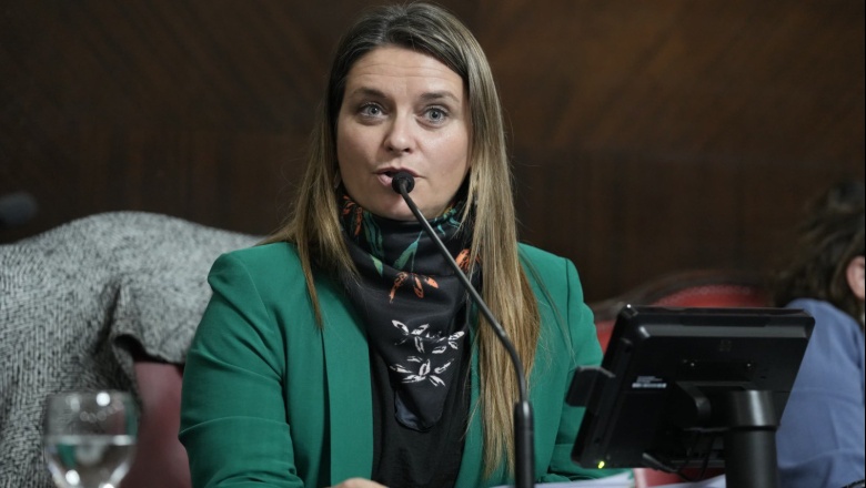 Romo tiene competencia: Apareció otro proyecto que busca modificar el ...